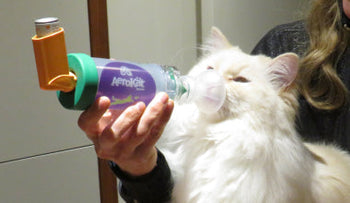 Nathalie & Beertje – Trudell Animal Health